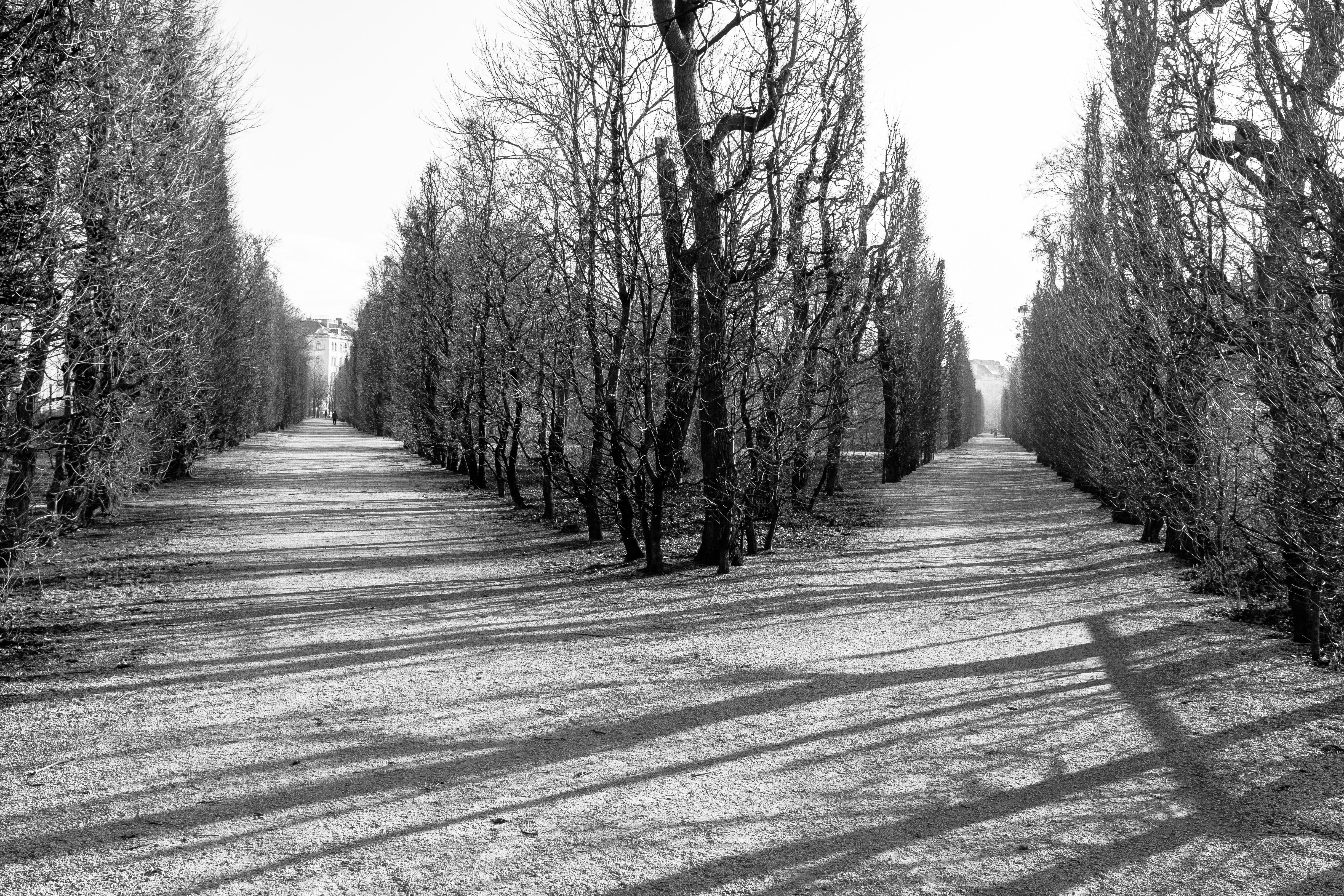 The cost of being realistic – The Campus